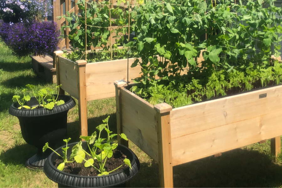 7 Clever Garden Hacks For A Bountiful Harvest - A House Full of Home